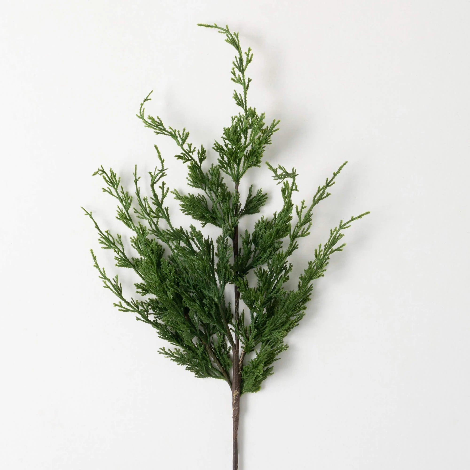 Dwarf Cedar Spray 28" – Dragonfly Home + Gift